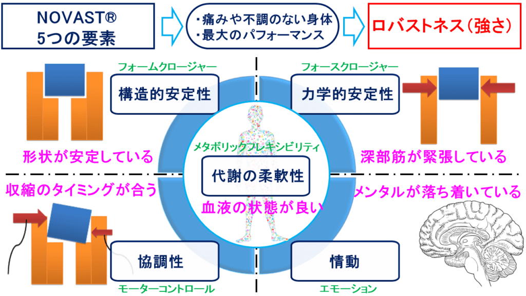 NOVAST®とは│一般社団法人アジアNOVASTストレッチ協会
