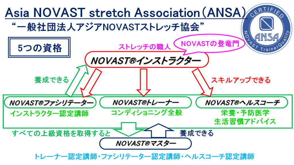 【重要なお知らせ】7月からNOVAST®資格が生まれ変わります。│ストレッチ資格ならNOVAST®